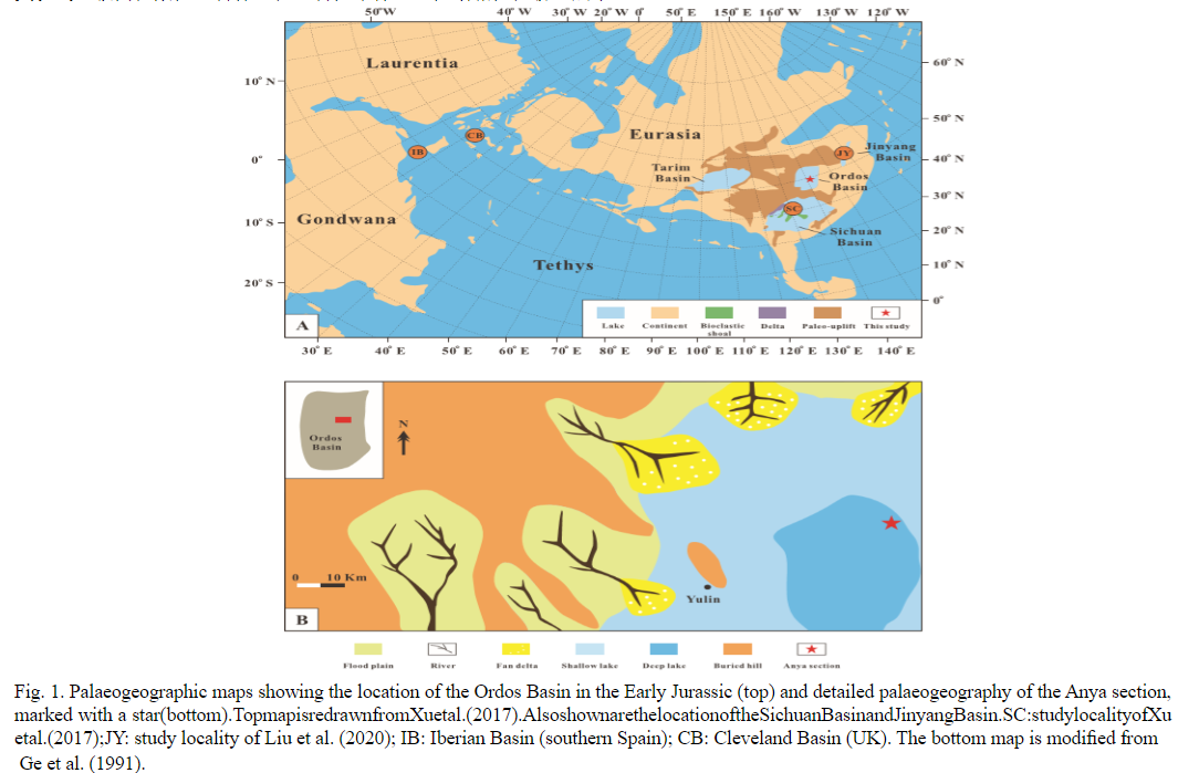 金鑫：The Jenkyns Event (early Toarcian OAE) in the Ordos Basin, North ...