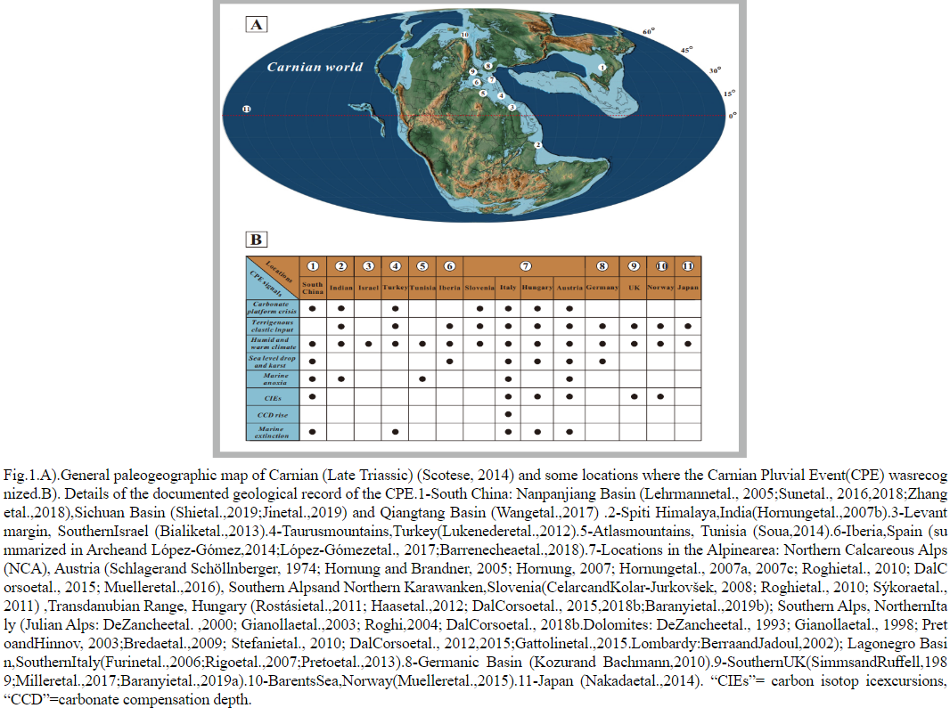 金鑫：Synchronized changes in shallow water carbonate production during ...